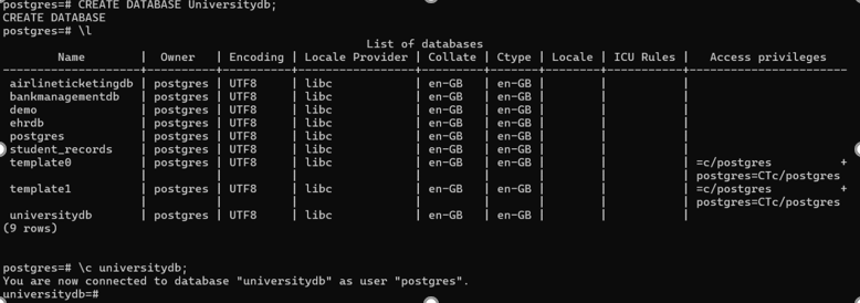 Dbs101 Unit3 | Pema Losel Maurer